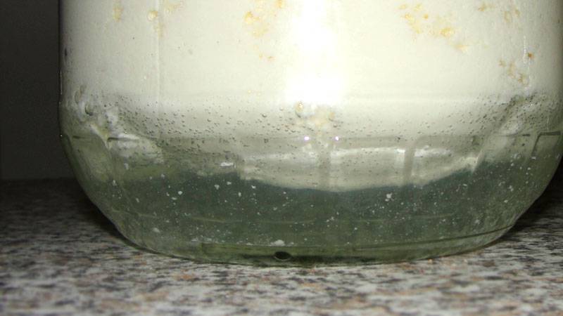 Why Kefir separates? - Kefir World