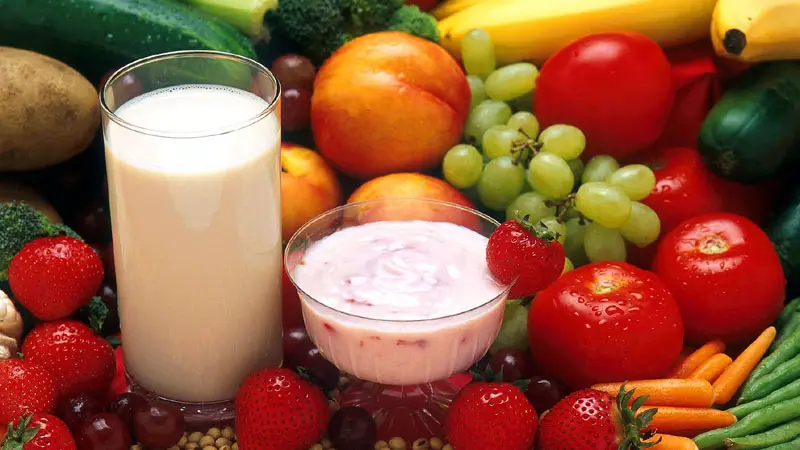 Continuous fermentation of Kefir - Kefir World